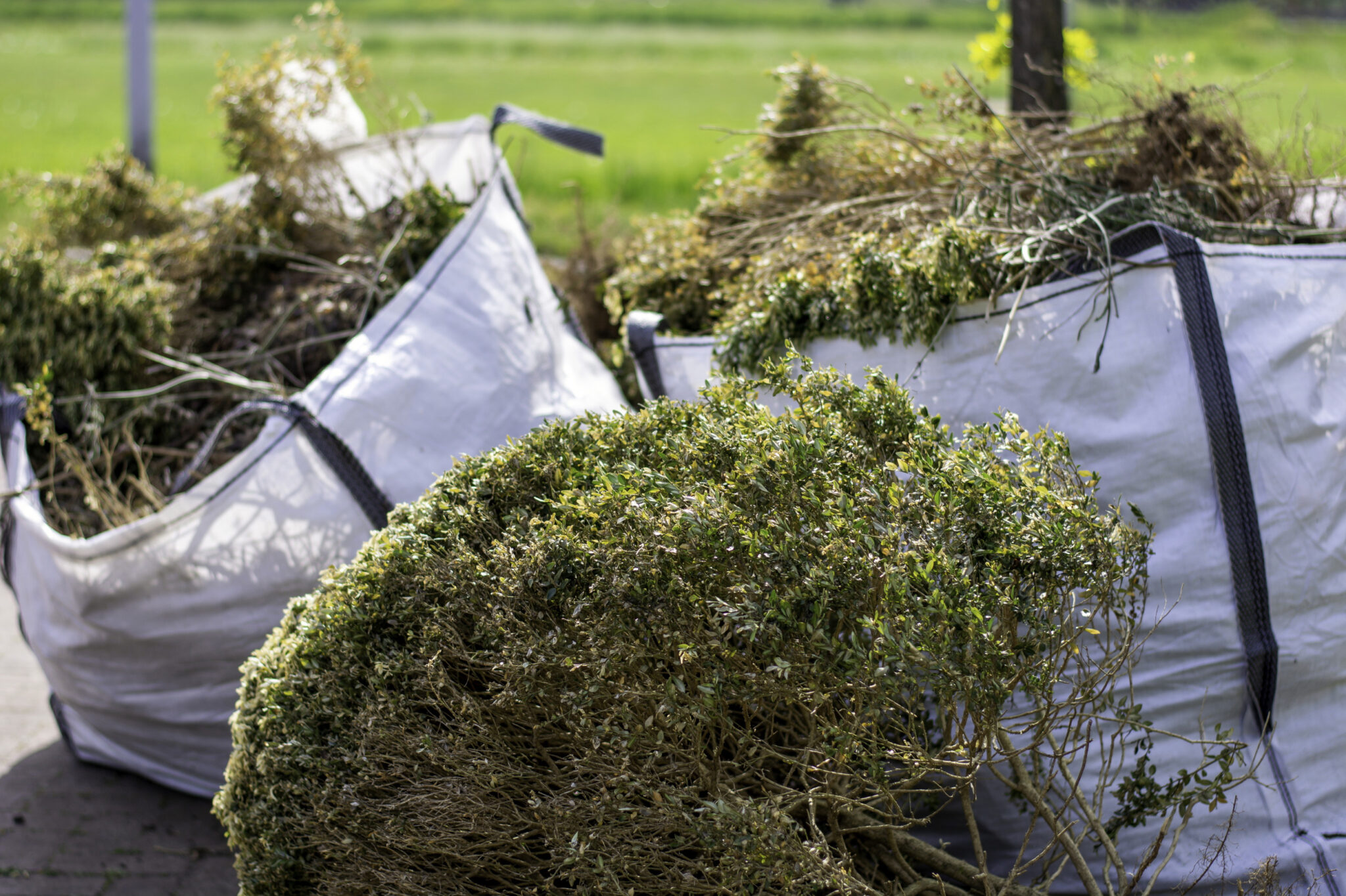 Garden Waste Removal | Green Waste Collection in Melbourne | Get a Quote